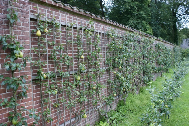 Ton voor reconstructie moestuin Huis Landfort - MONUMENTAAL magazine